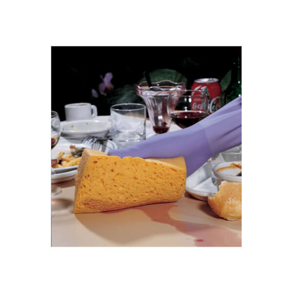 Spontex Professional Azella Nasser Zelluloseschwamm aus natürlichen ...